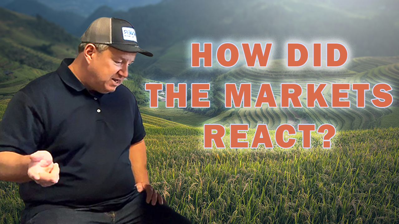 Will Russian War Affect Wheat? Zaner MarketCast Will Russian War Affect Wheat? Zaner MarketCast